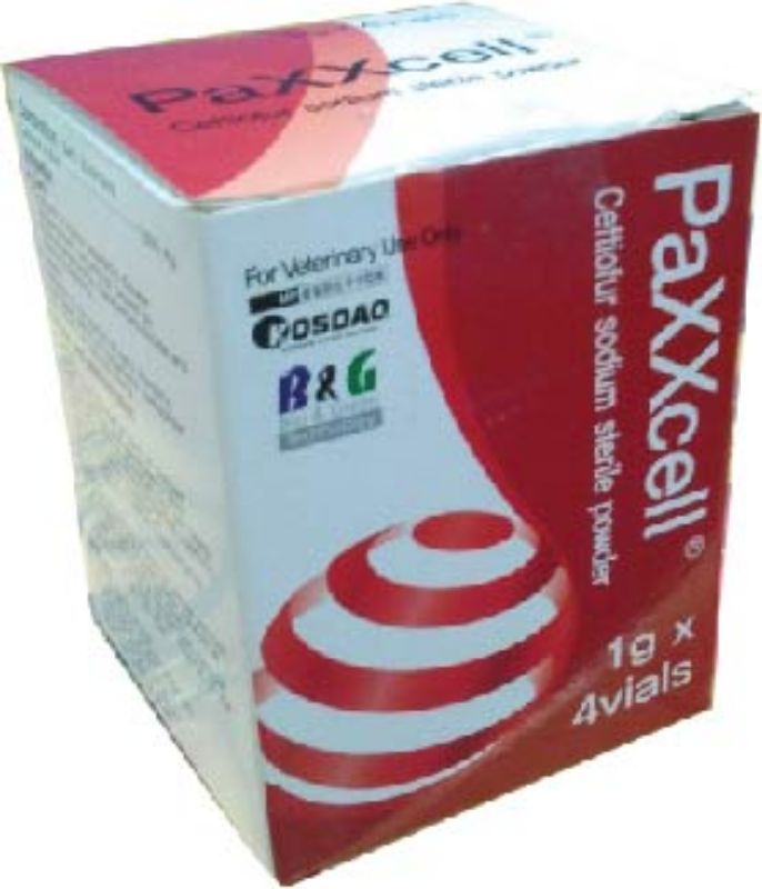 Paxxcell 1g Vial | Powerful Antibiotic Injection for Cattle & Poultry ...