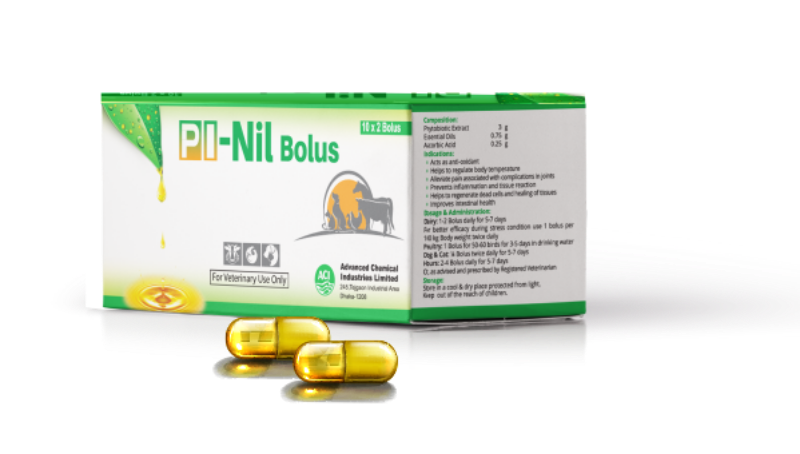 PI-Nil Bolus 20s | NSAID & Reproductive Enhancer for Cattle-AgroMukam