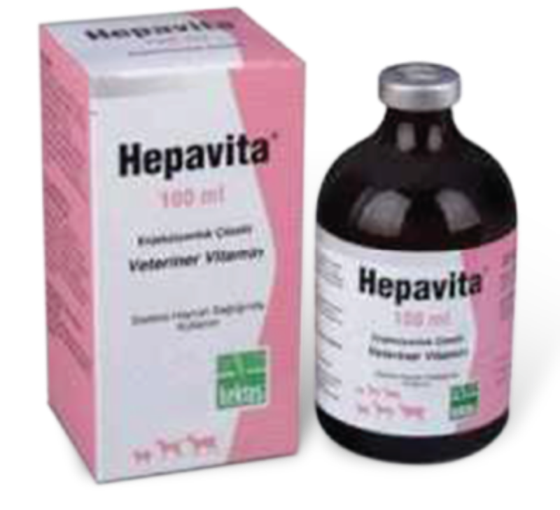 Hepavita Vet Inj 100ml-AgroMukam
