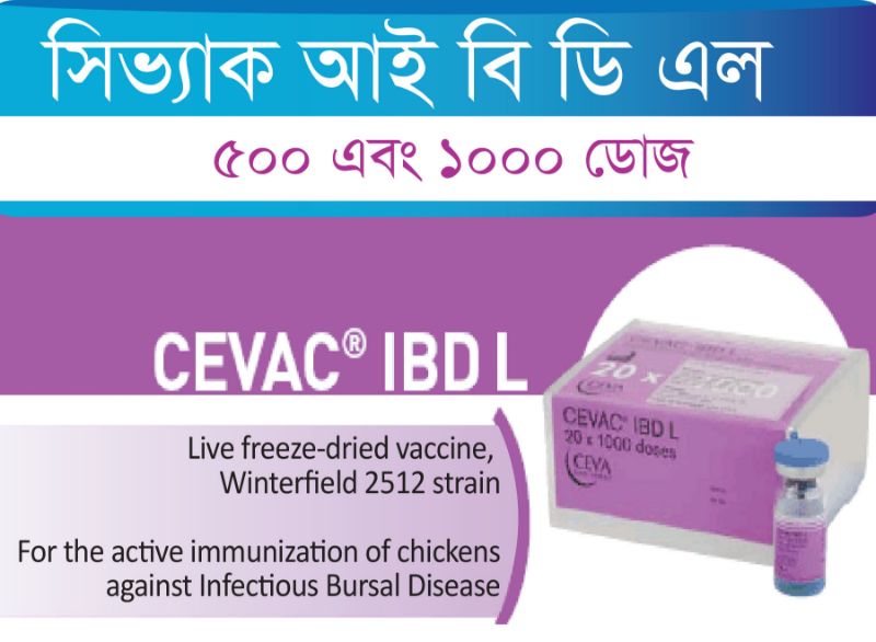 CEVAC IBDL – Effective Gambora Disease Immunity for Healthy Chickens ...