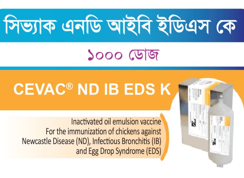 Cevac ND IB EDS K - Long-lasting Vaccine for Ranikhet, IB & EDS-AgroMukam