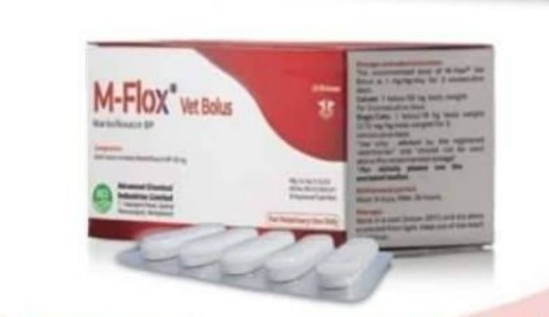 "M-Flox Vet Bolus 20s – Treatment for Mastitis & Infections | Agromukam ...