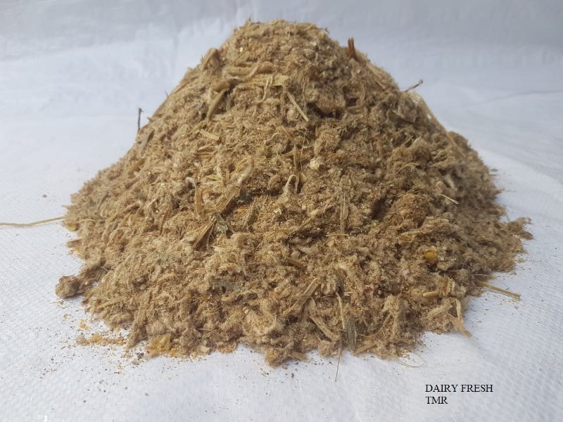 > Dairy Fresh TMR (Per 50Kg bag): The Ultimate Feeding Solution for Cattle in Bangladesh-AgroMukam