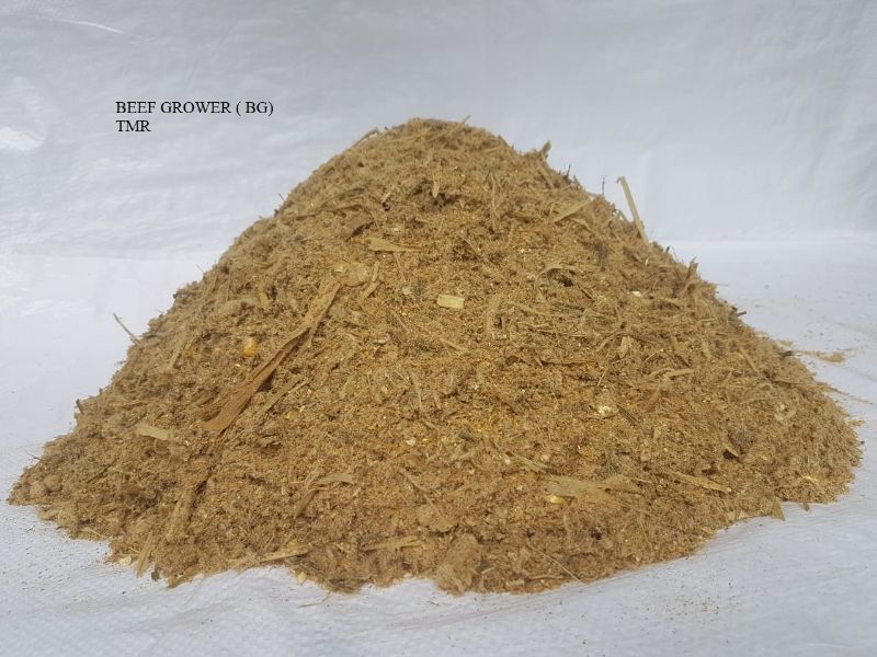 Beef Grower TMR (per 50kg bag) - Feed Your Cattle Right from Birth ...