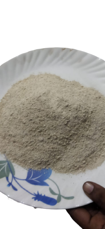 Oyster Power: Boost Your Garden's Health & Beauty-AgroMukam