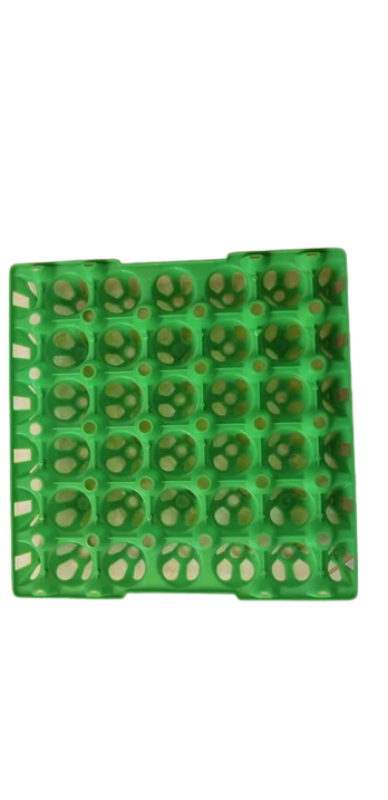 Premium Quality Egg Trays | Stylish & Durable for Poultry-AgroMukam
