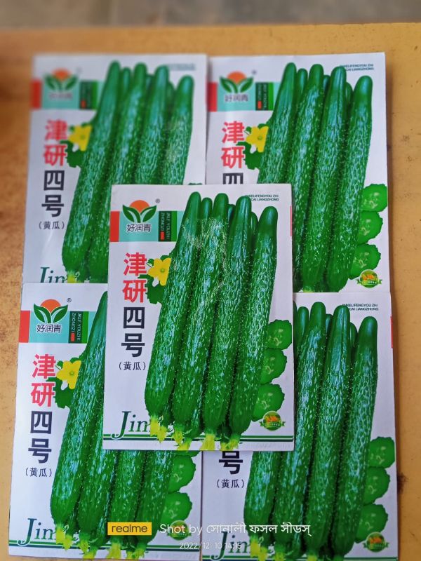 Arabian cucumber seeds-AgroMukam