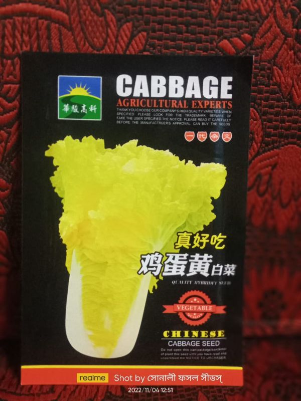 Chinese Cabage Seed (per Pack)-AgroMukam