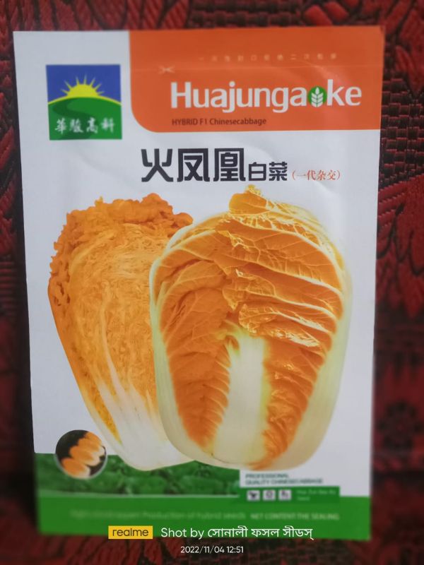 Chinese cabbage (Per Pack)-AgroMukam