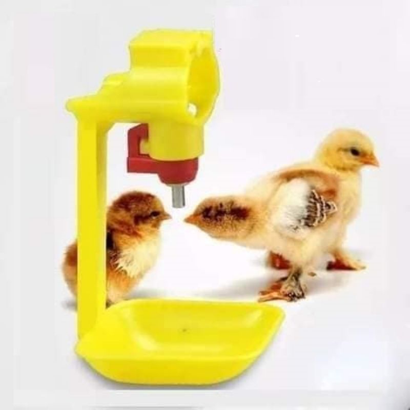 Best Auto Drinker 100 PCS for Poultry Feeders & Farmers in Bangladesh ...
