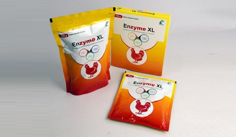 "Enzyme XL – Advanced Multi-Enzyme Supplement for Poultry | Agromukam ...