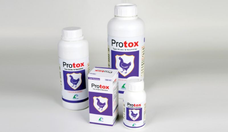 "P-Tox Oral – Advanced Mycotoxin Neutralizer for Poultry | Agromukam"-AgroMukam