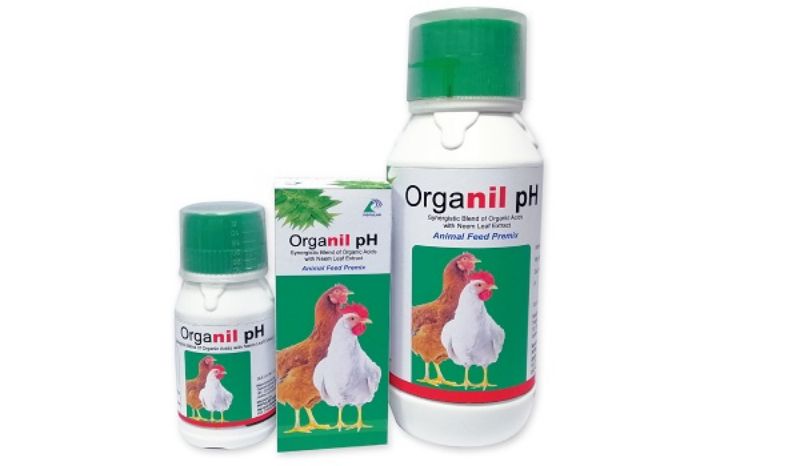 "Organil pH – Advanced Organic Acidifier for Poultry Gut Health ...