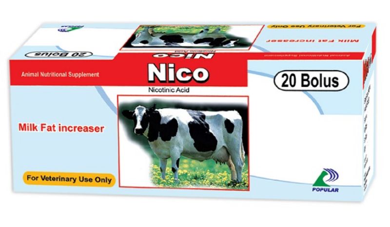 "Nico Bolus – Boost Milk Production & Poultry Health | Agromukam"-AgroMukam