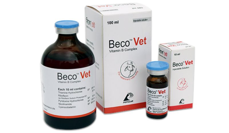"Becovet 100ml – Vitamin B-Complex Injection for Cattle & Livestock ...