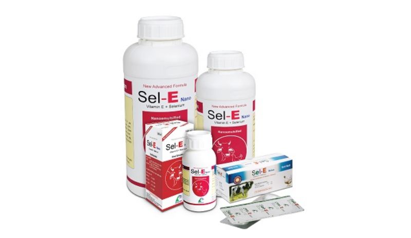 "Buy Sel-E Bolus– Vitamin E & Selenium Supplement for Cattle & Poultry ...