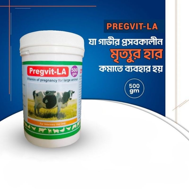 Pregvit-LA 500gm - Boost Animal Productivity and Herd Health-AgroMukam