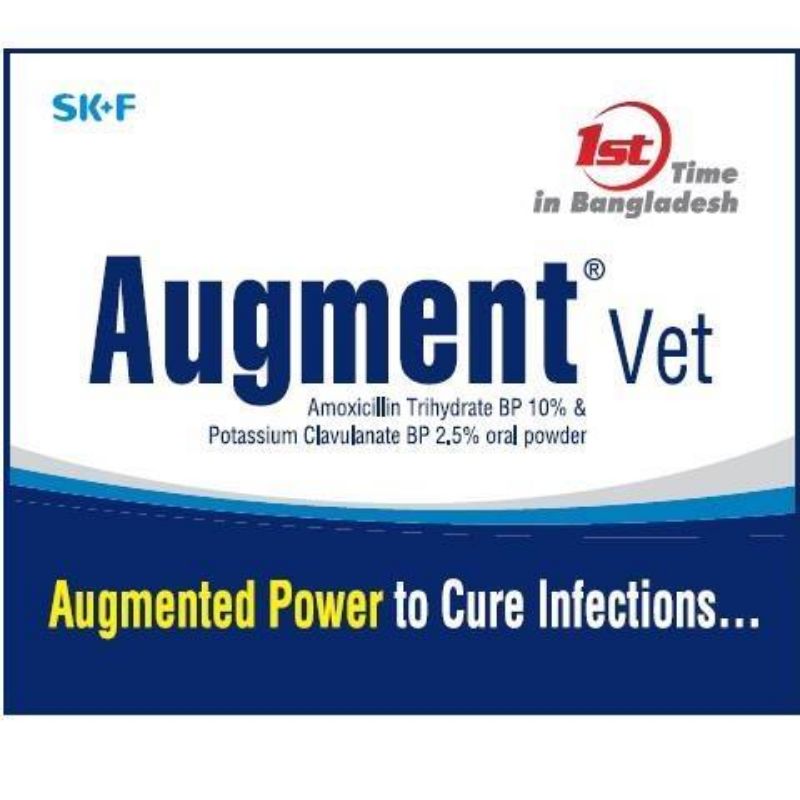 Augment Vet – Comprehensive Antibiotic Solution for Cattle-AgroMukam