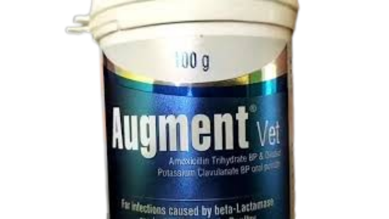 Augment Vet – Comprehensive Antibiotic Solution for Cattle-AgroMukam