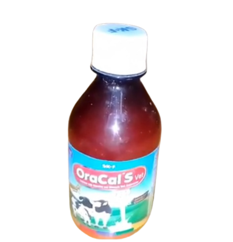 Best OraCal S Vet Suspension for Cattle in Bangladesh - Stylish & Durable-AgroMukam