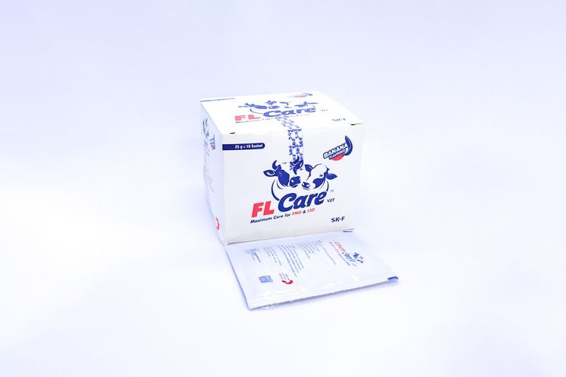 Boost Cattle Immunity with FL Care Vet Powder: Protect Your Animals ...