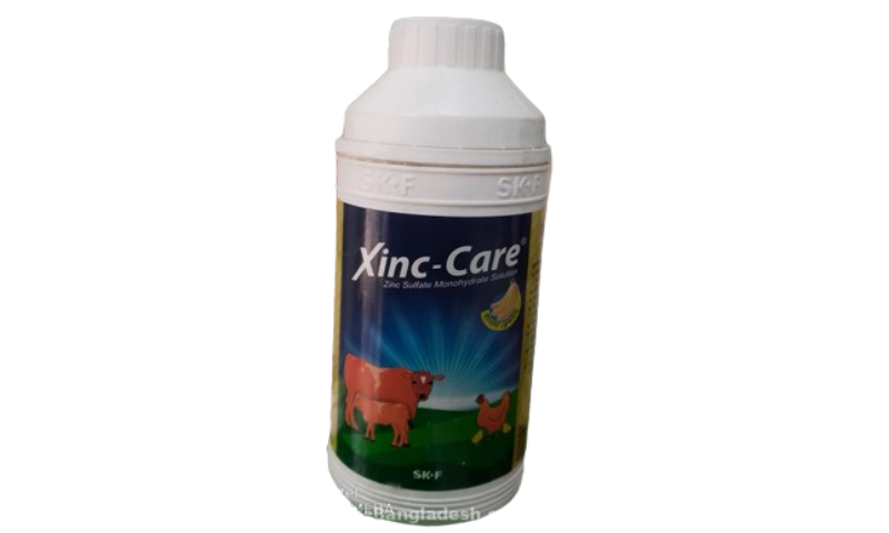 Xinc Care: Feed Your Cattle for Optimal Performance-AgroMukam