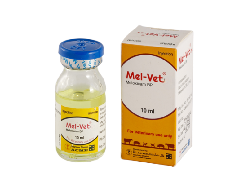 Best Mel-Vet Injection 10 ml (10 x 10 ml) for Cattle in Bangladesh-AgroMukam