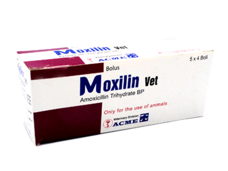 Moxilin Vet bolus (5 × 4's)-AgroMukam