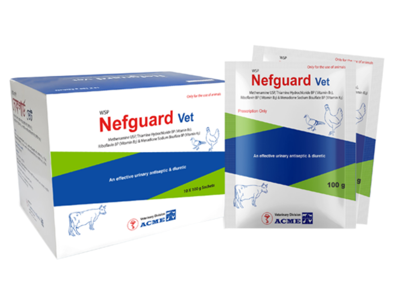 Best Nefguard Vet WSP 100 gm for Poultry: Stylish & Effective ...