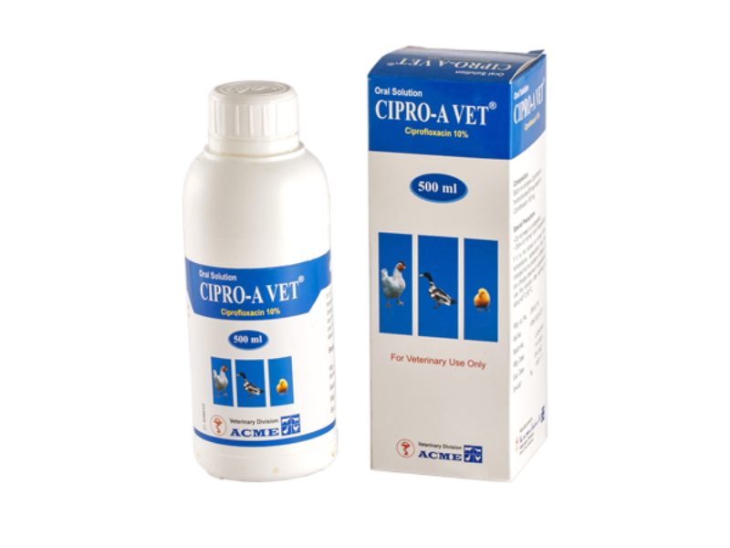 Best Cipro-A Vet Oral Solution 500 ml for Poultry, Fish & Livestock ...