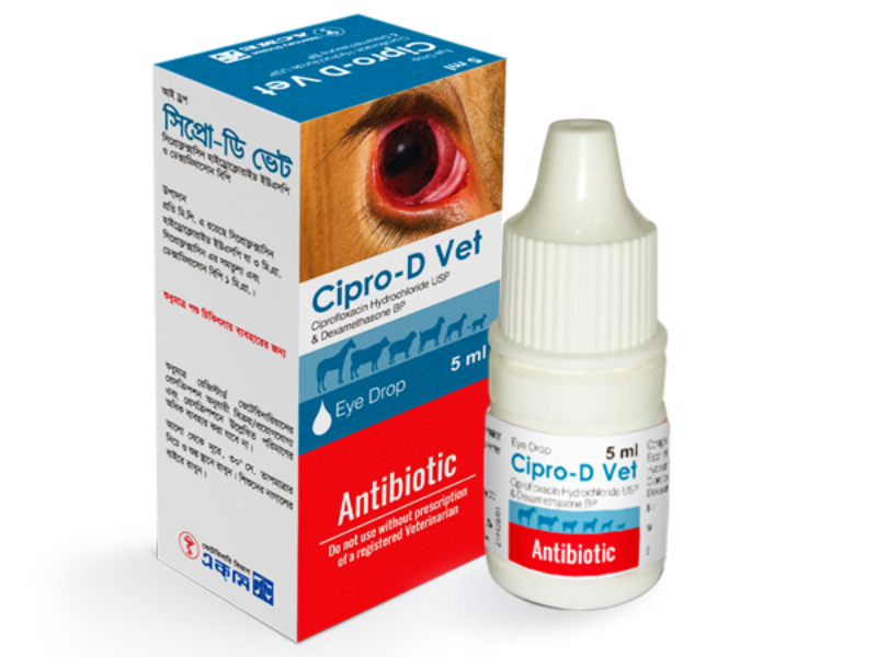 Best Cipro-D Vet Eye Drop for Cattle Eye Infections: Safe & Effective ...