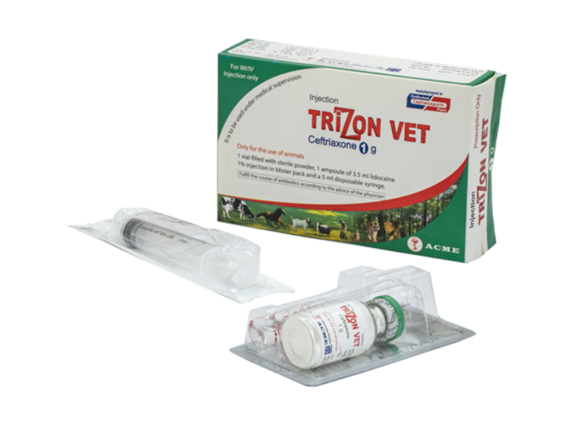 Trizon Vet Injection 1 gm - Cattle Medication - Antibiotics - Boost ...