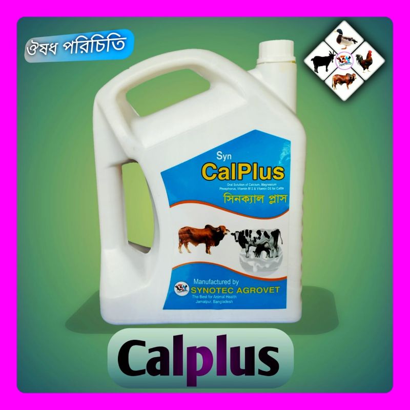 Boost Milk Production and Calf Health with SynCal Plus 1 Liter-AgroMukam