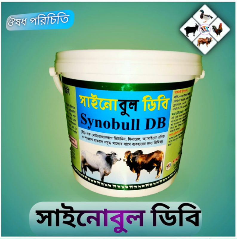 Maximize Your Cattle's Potential with Syno Bull DB 1kg-AgroMukam