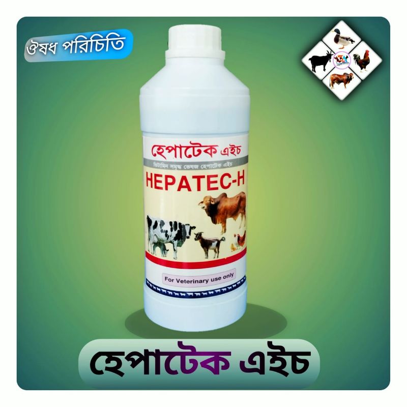 Hepatec H 100ml: Boost Liver Function, Detoxify and Protect Your ...