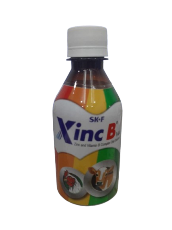 Xinc B Vet: Stylish & Durable Oral Solution for Enhanced Nutrient Intake in Bangladesh-AgroMukam