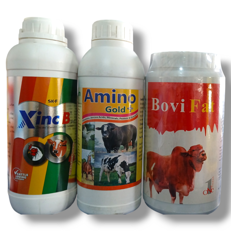 Introducing the stylish and durable MONTARA® 1kg Bovi Fat Cattle Supplement!-AgroMukam
