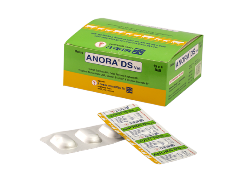 Increase Milk & Meat Production with ANORA® Vet | Cattle Nutrition ...