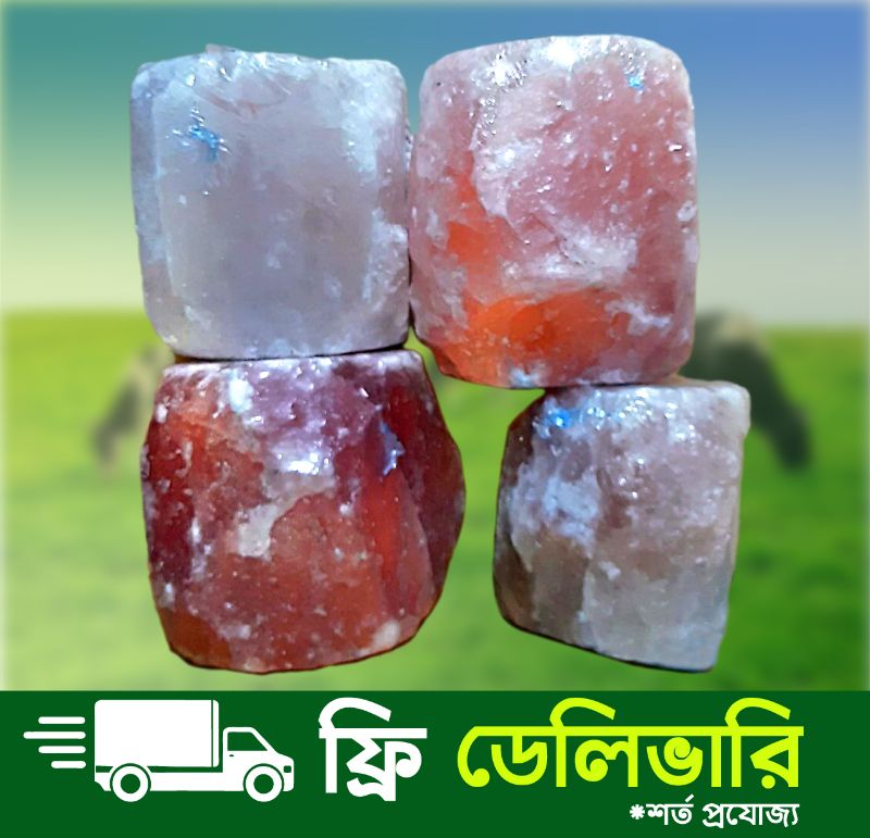 Pink Salt / Animal Licks (6pc / 20kg) - Sustainable & Stylish Feed ...