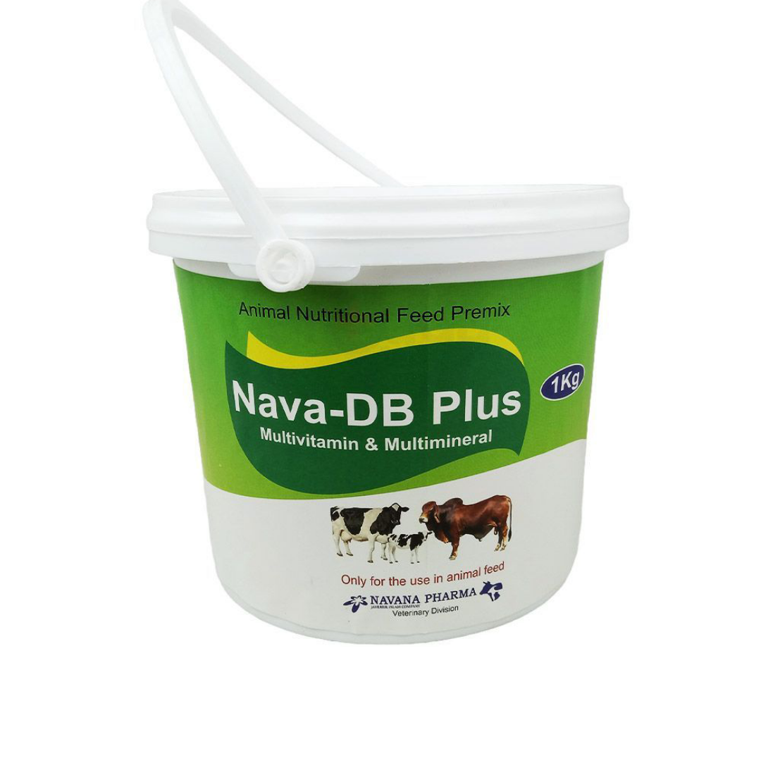 Nava DB 1kg - Stylish & Durable Cattle Nutrition Supplement for Bangladesh-AgroMukam