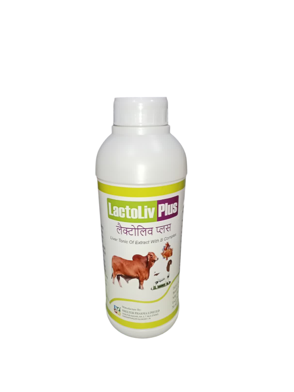 Best LactoLiv Plus 1 Lt for Cattle Nutrition in Bangladesh-AgroMukam