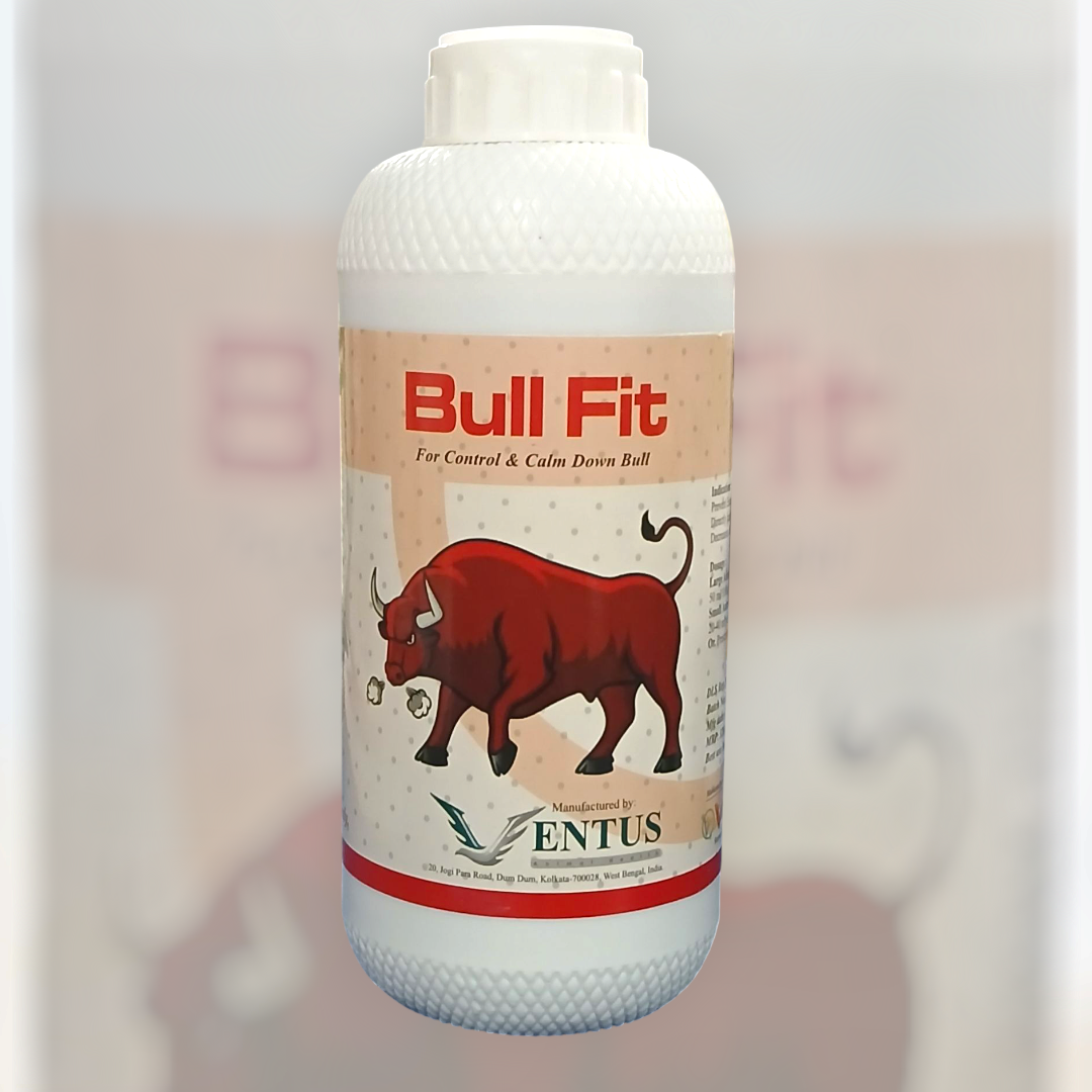 Best-in-Class Bull Feed for Cattle in Bangladesh-AgroMukam