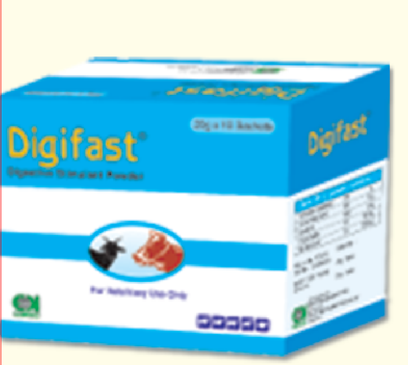 Digifast Powder: Support Cattle Digestion and Well-being-AgroMukam