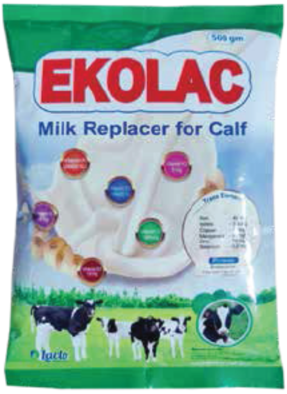 EKOLAC 500gm - High-Performance Calf Milk Replacer-AgroMukam