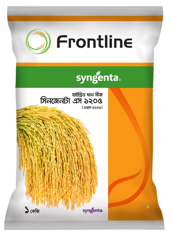 Syngenta S 1205 1kg Bangladesh-এ: Long Slender Grain, High Yield-AgroMukam