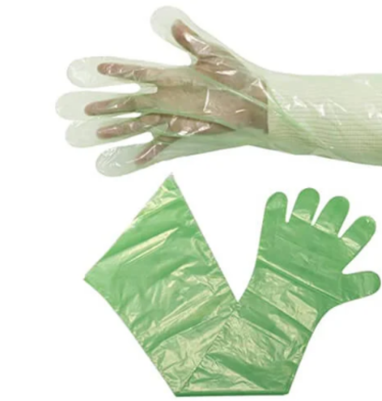 Long AI Veterinary Gloves – 100 Pcs Per Box Bangladesh-এ-AgroMukam