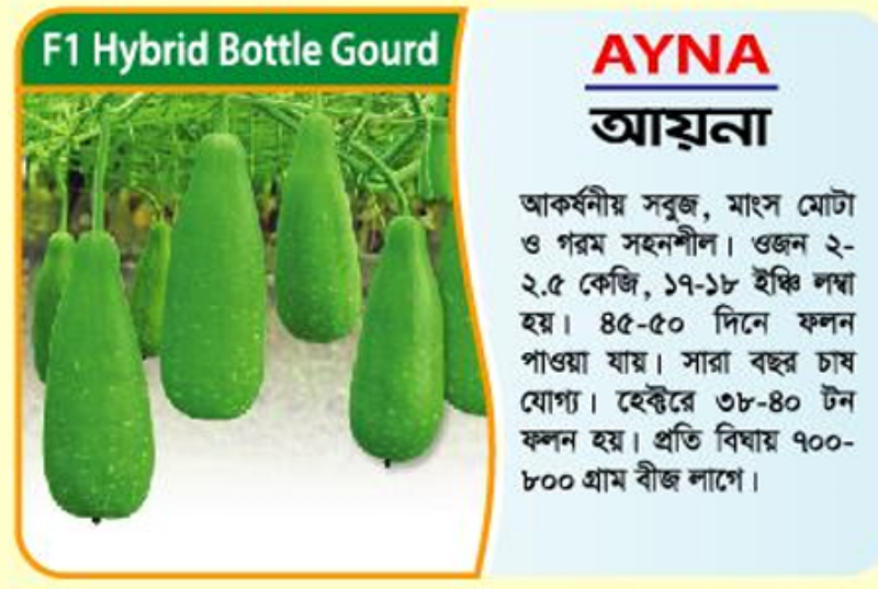 AYNA Hybrid Bottle Gourd Seeds 5g - Fast-Growing Vegetable Crop for Bangladesh-AgroMukam