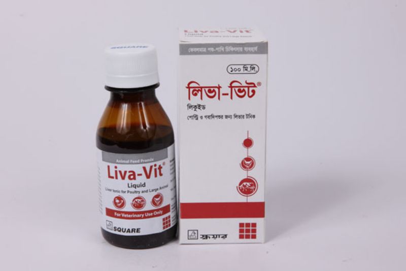 Liva-Vit Liquid 100 ml: Supports Liver Health and Protects against ...