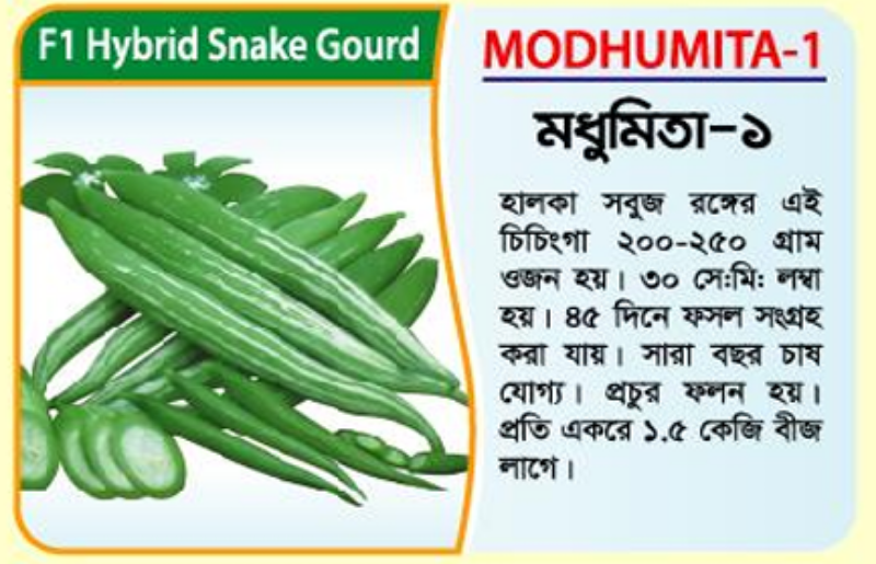 MODHUMITA-1 Hybrid Snake Gourd Seeds 5 gm-AgroMukam