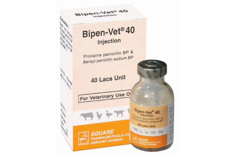 Bipen- Vet 40 Lac Inj 1 vial Bangladesh-এ | Cattle Medication-AgroMukam